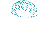Professional Services Group & Community Impact Programs